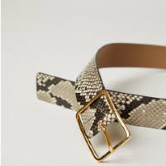 B-Low the Belt | Accessories | B Low The Belt Milla Snake Skin Belt ...